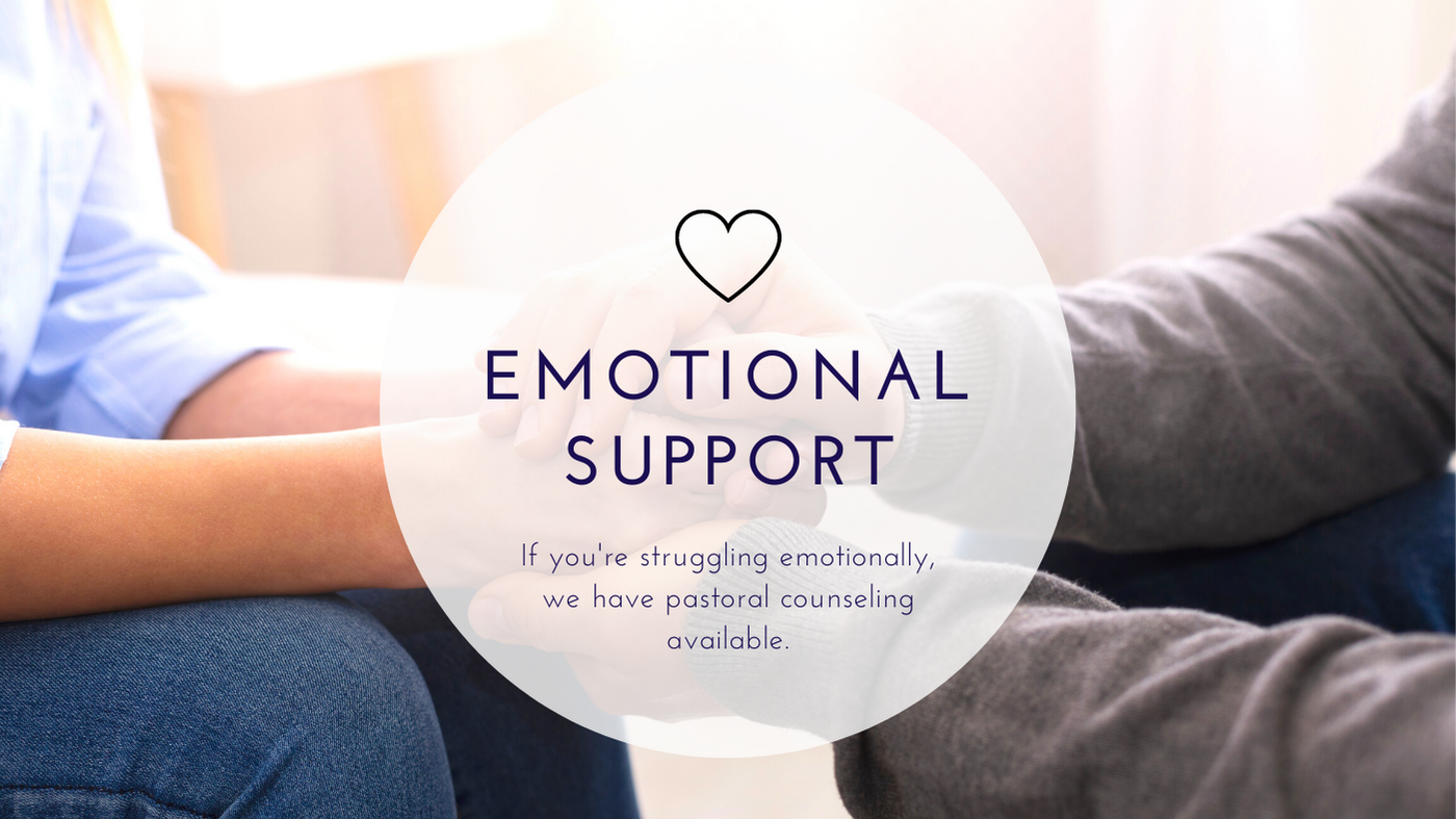 Receive Joy – Spirit of Joy